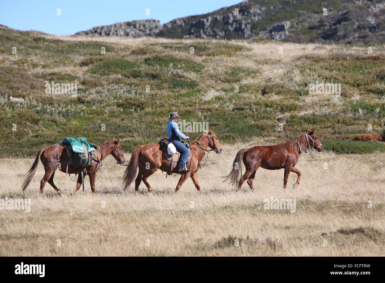 Australian horse riding hi-res stock photography and images - Alamy