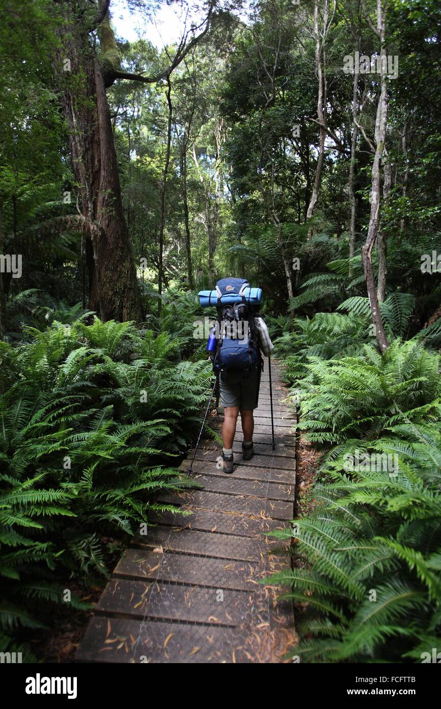 Australian Bushwalker High Resolution Stock Photography and Images - Alamy
