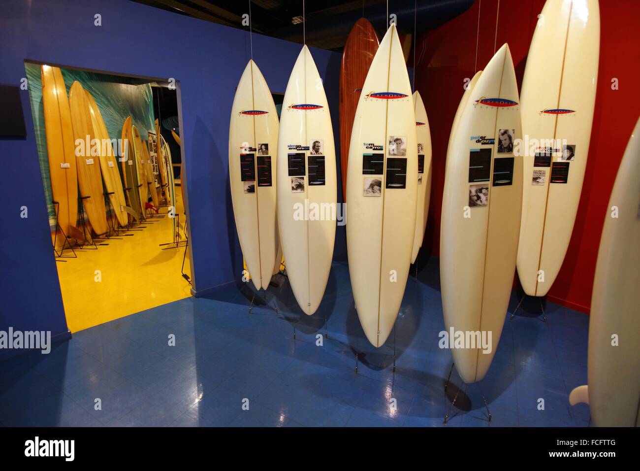 Torquay museum hi-res stock photography and images - Alamy