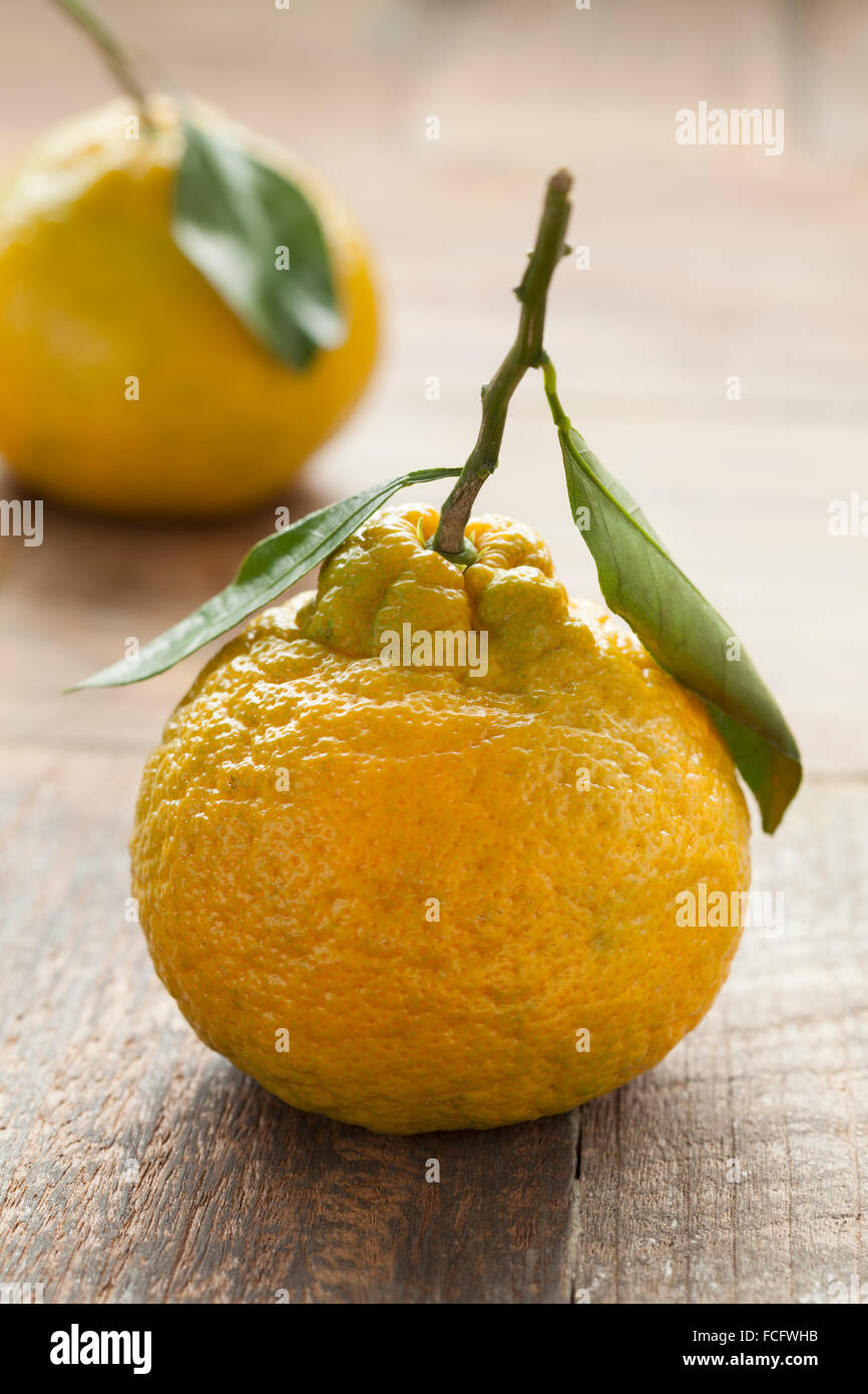 Fresh picked ripe organic mandarin Stock Photo - Alamy
