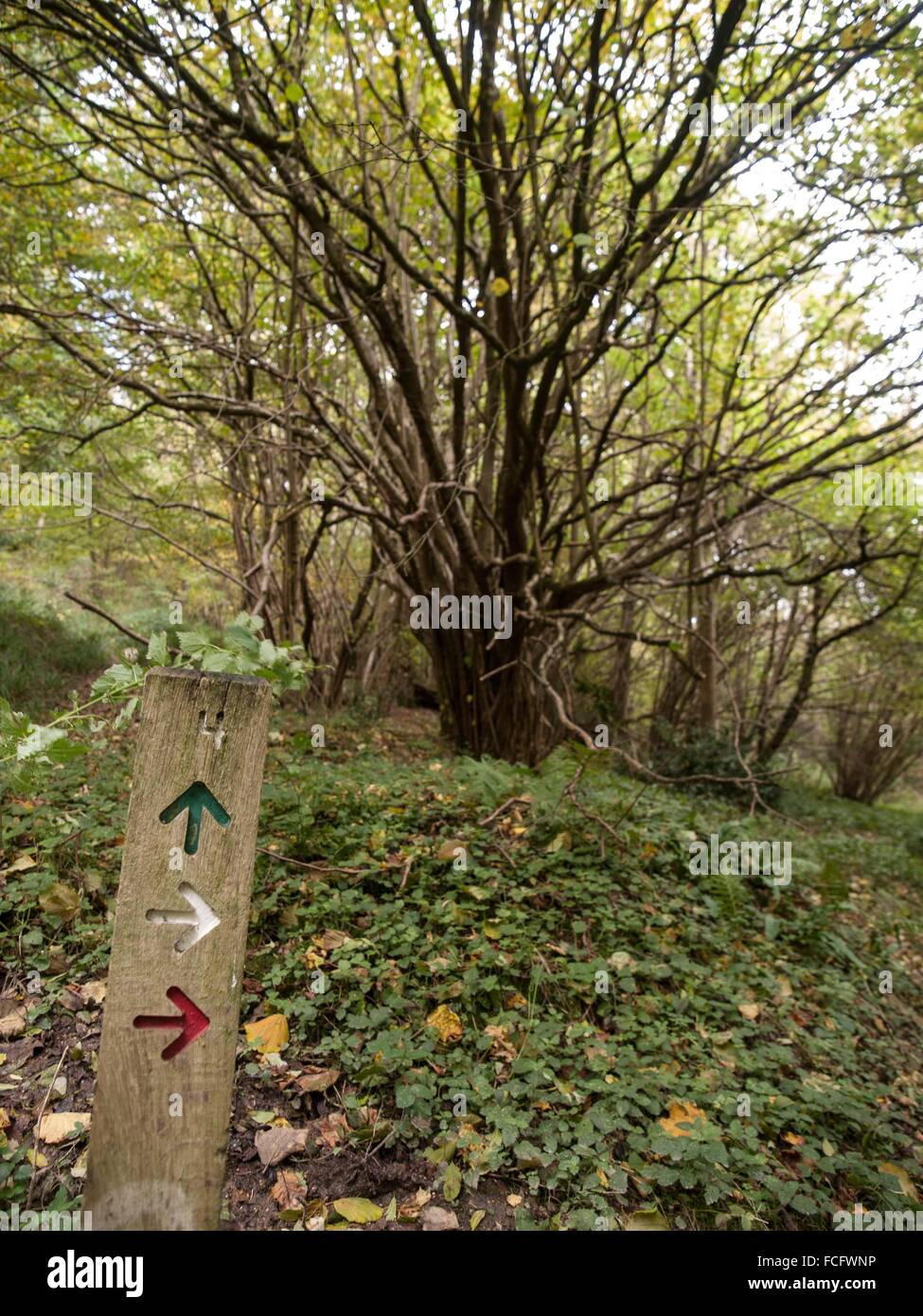 Directional arrows hi-res stock photography and images - Alamy