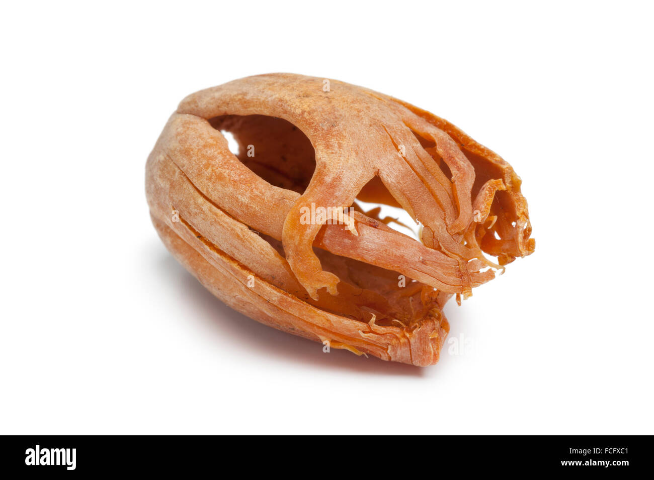 Mace spice hi-res stock photography and images - Alamy