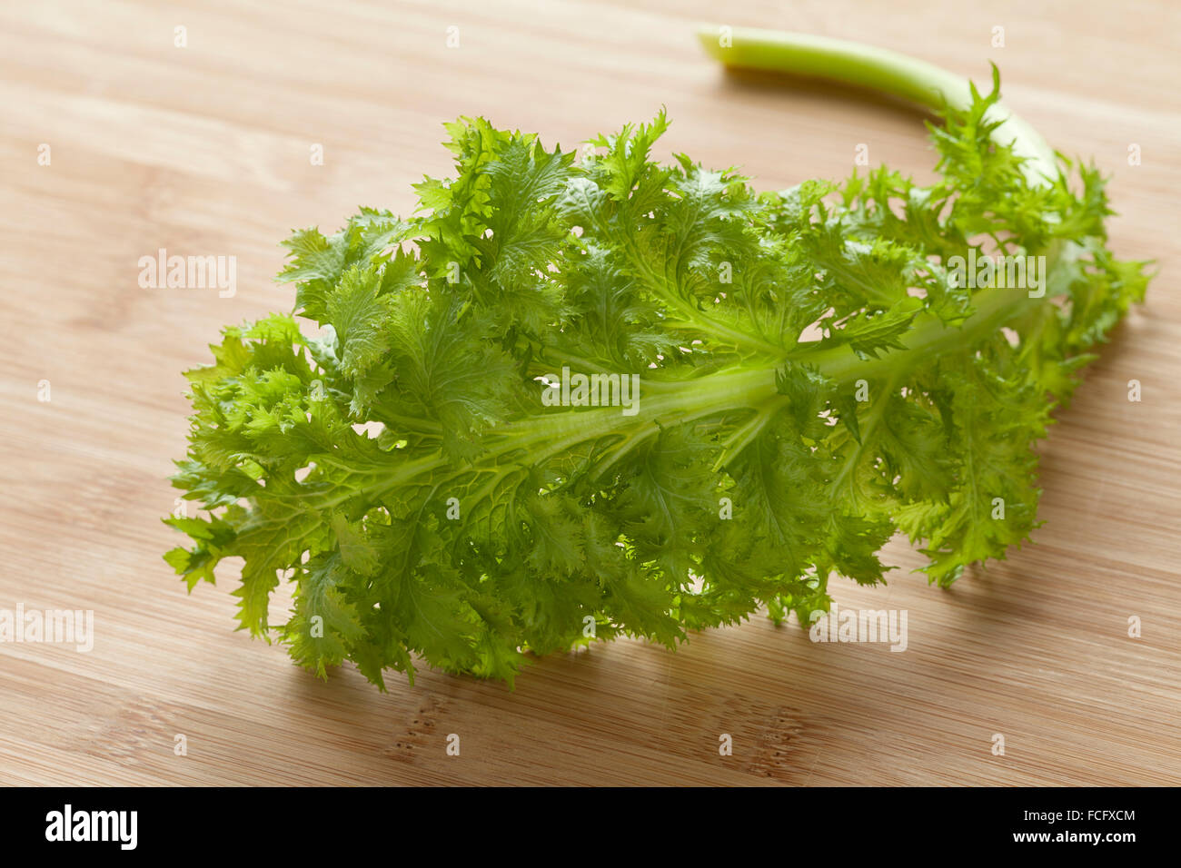 Leaf mustard hi-res stock photography and images - Alamy