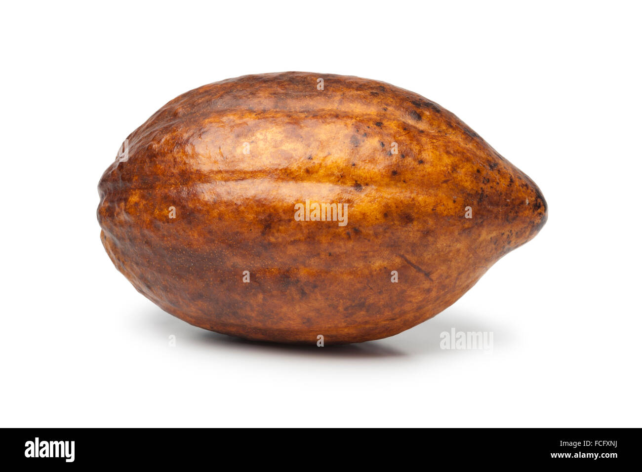 Single fresh ripe cacao fruit on white background Stock Photo - Alamy