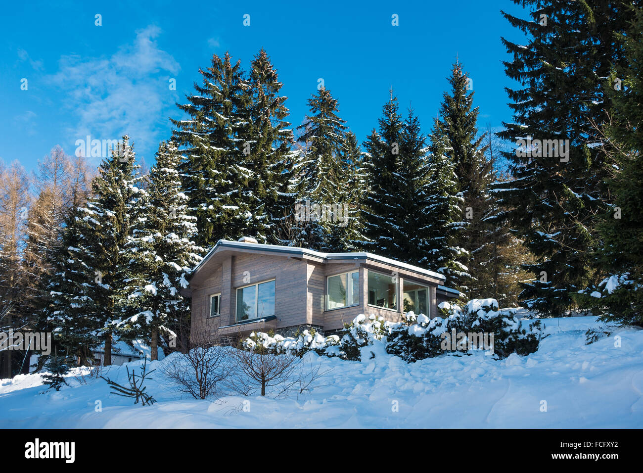 Building with snow in a forest Stock Photo - Alamy