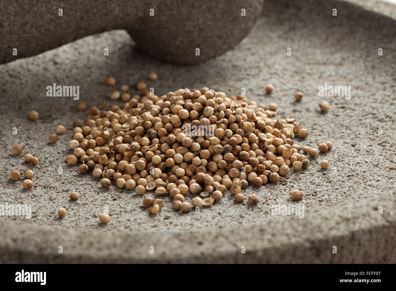 Coriander seeds hi-res stock photography and images - Alamy