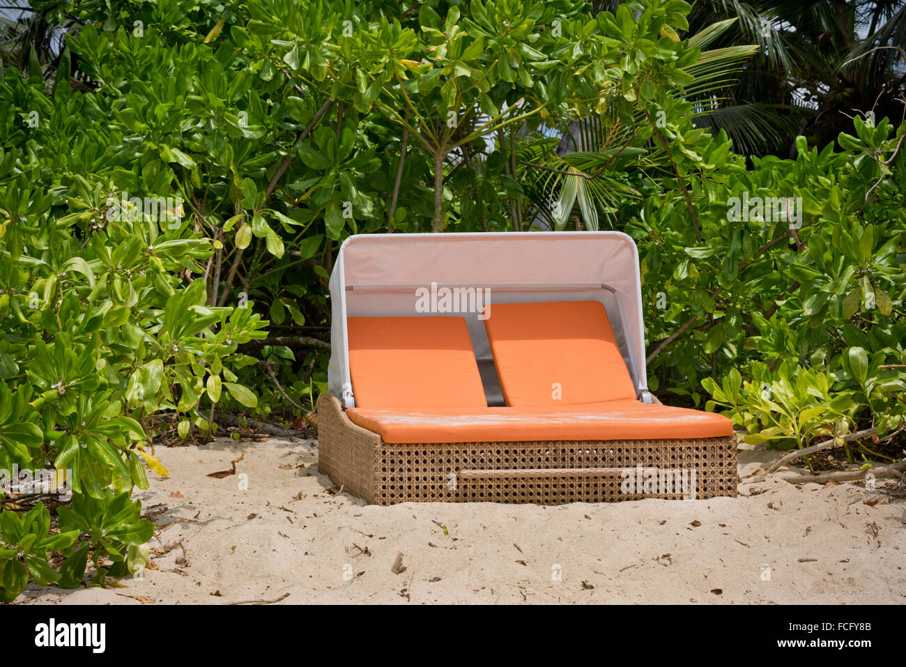 beach bed on white sand among palm trees in full sun Stock Photo - Alamy
