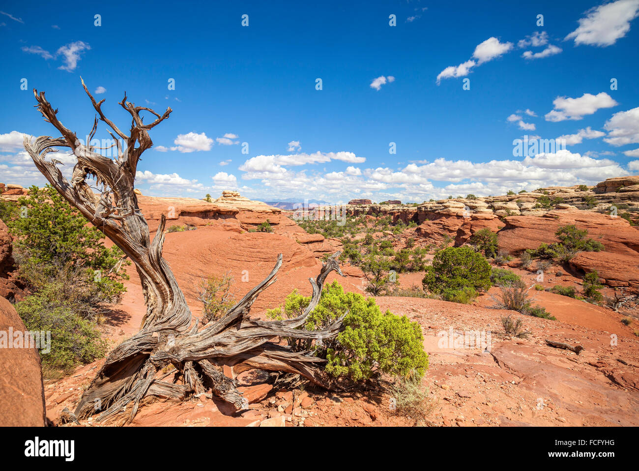 Wild desert in utah usa hi-res stock photography and images - Alamy