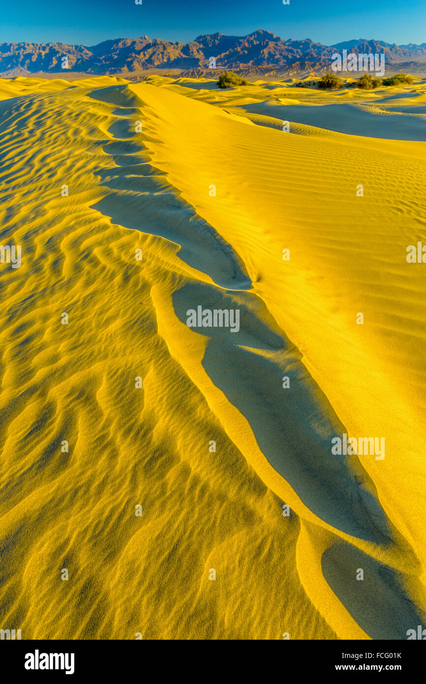Mesquite Flat sand dunes in Death Valley, California Stock Photo - Alamy