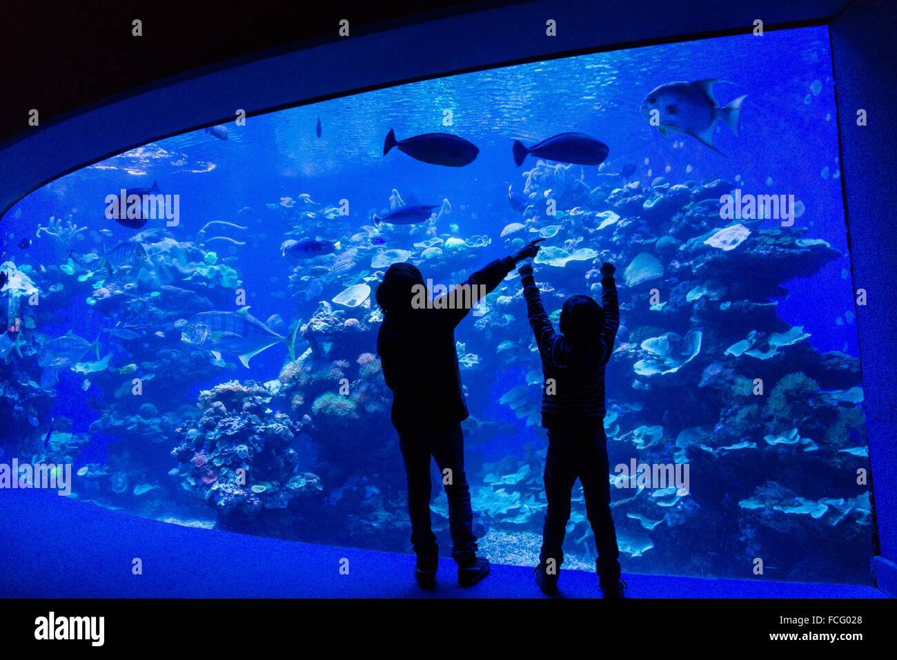 Majorca Palma Aquarium High Resolution Stock Photography and Images - Alamy