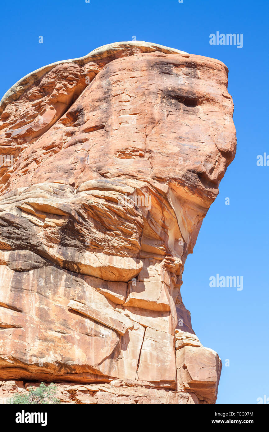 Face shaped rock formation in Canyonlands National Park, Utah, USA ...