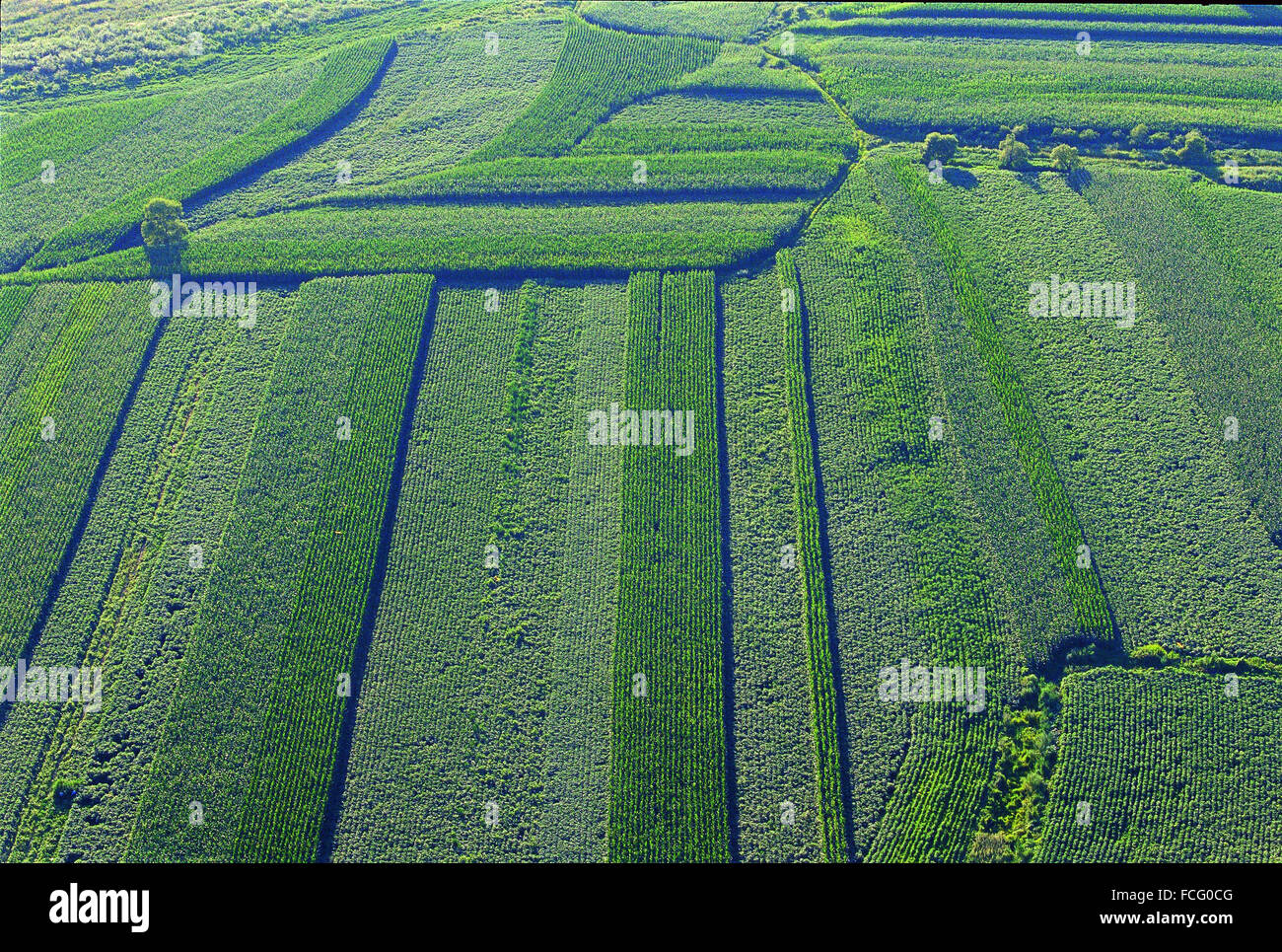 Hunchun hi-res stock photography and images - Alamy