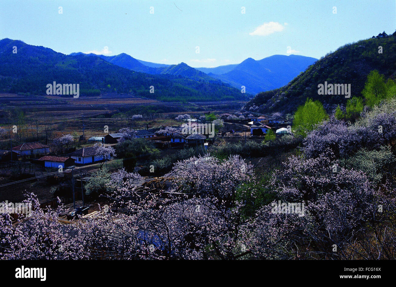 Hunchun hi-res stock photography and images - Alamy