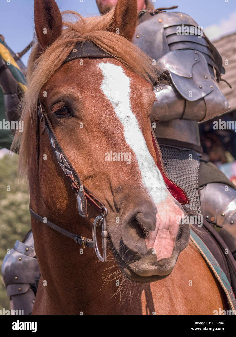 Knight on horse in chainmail hi-res stock photography and images - Alamy