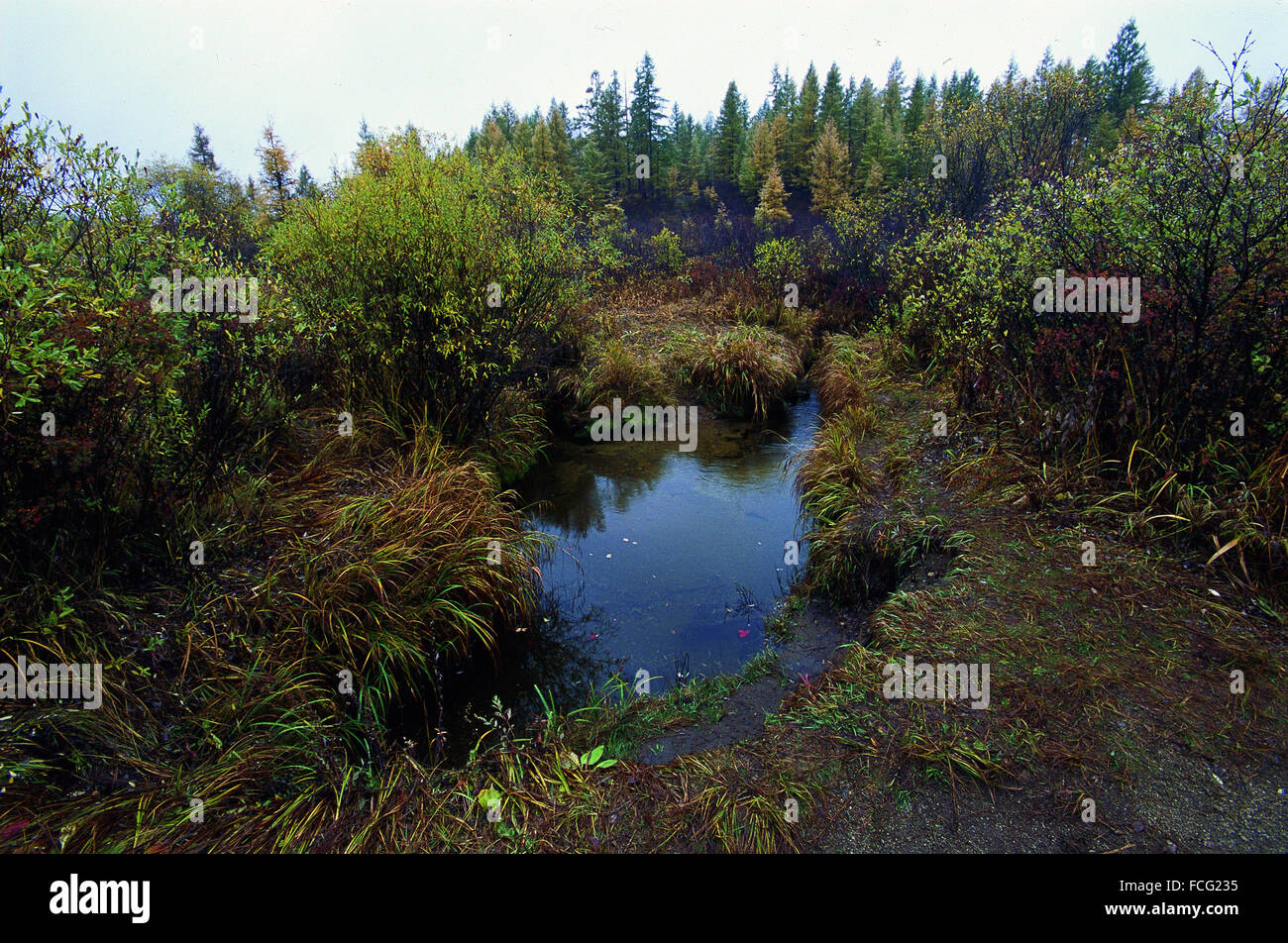 Hunchun hi-res stock photography and images - Alamy