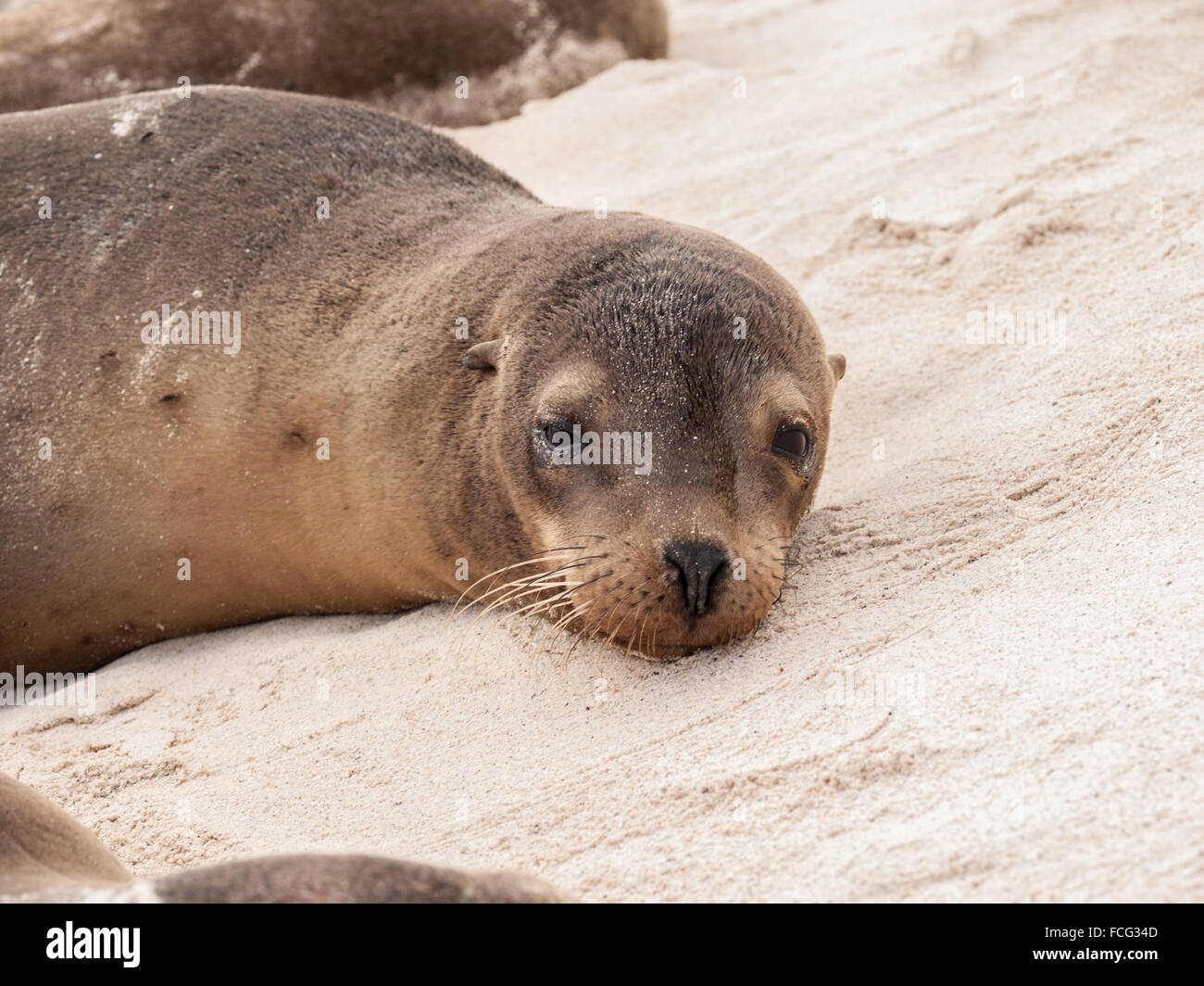 Islands of sand hi-res stock photography and images - Alamy