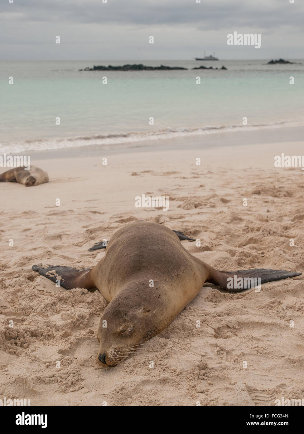 Sprawled out hi-res stock photography and images - Alamy