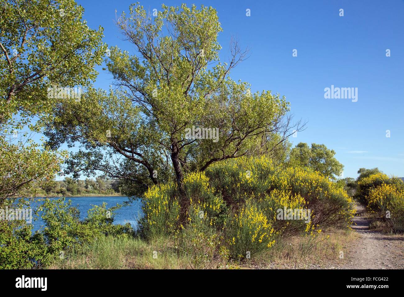 REGIONAL NATURE PARK OF THE LUBERON, VAUCLUSE, FRANCE Stock Photo - Alamy