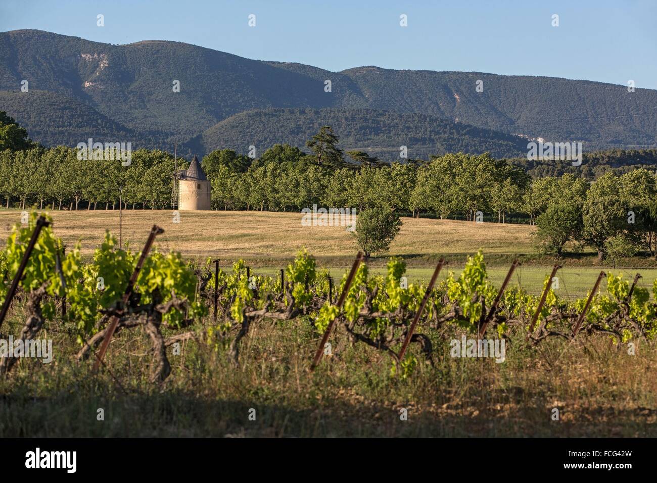 REGIONAL NATURE PARK OF THE LUBERON, VAUCLUSE, FRANCE Stock Photo - Alamy