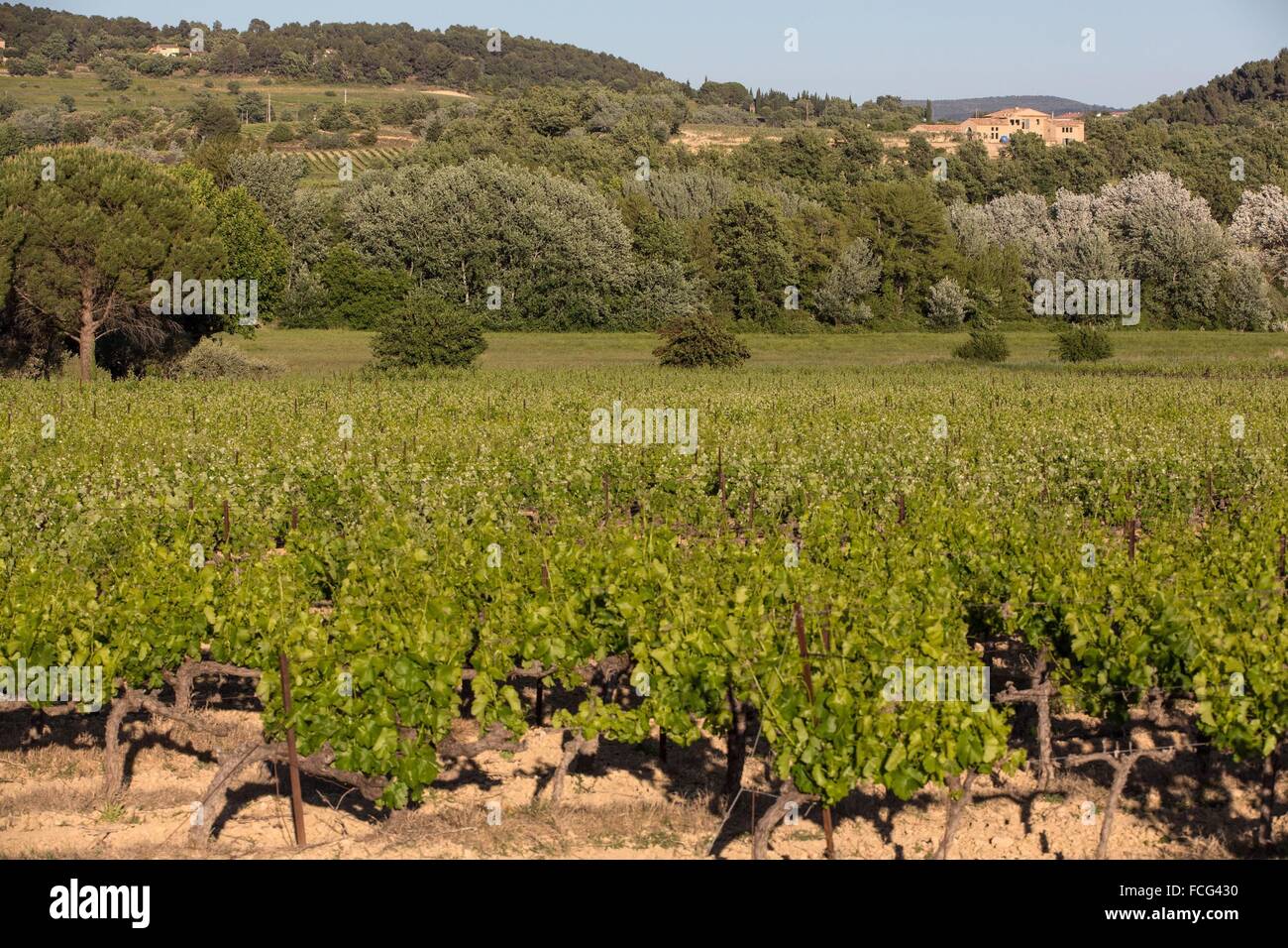 REGIONAL NATURE PARK OF THE LUBERON, VAUCLUSE, FRANCE Stock Photo - Alamy