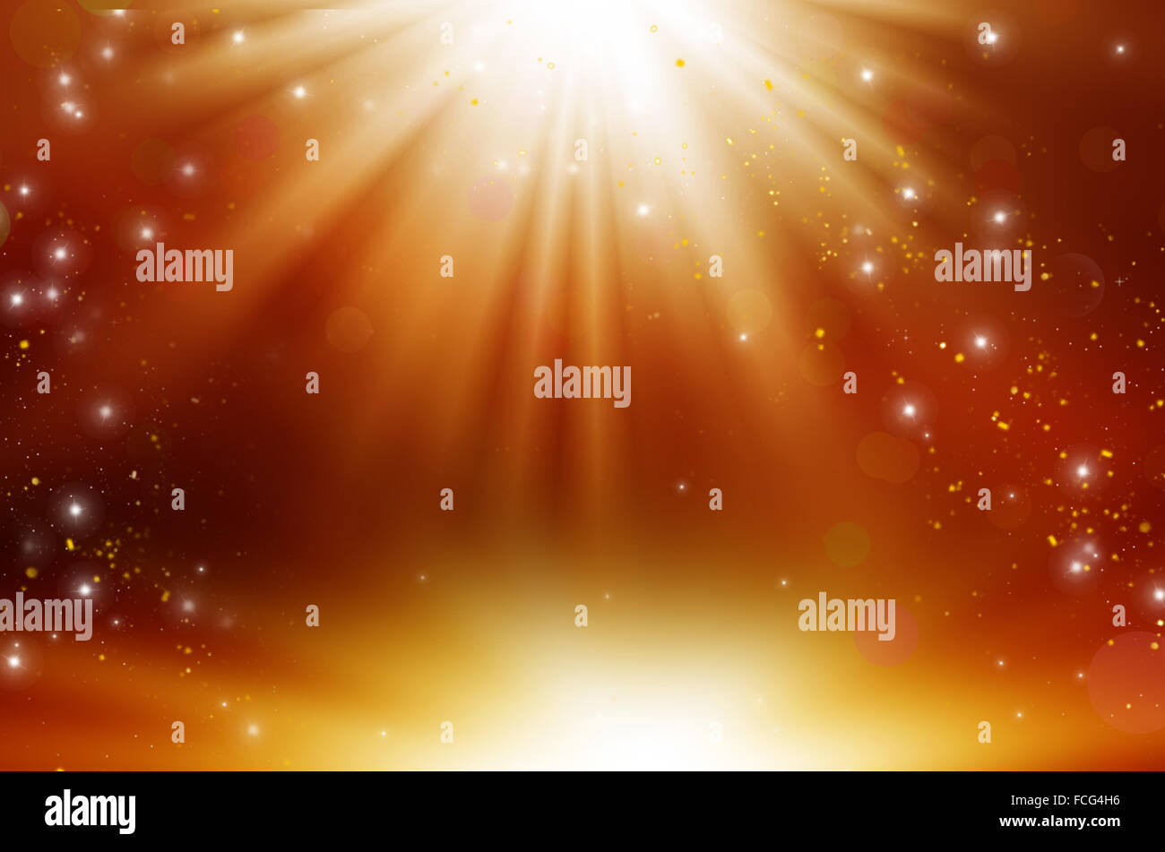 Field of daisies, lit by the sun Stock Photo - Alamy