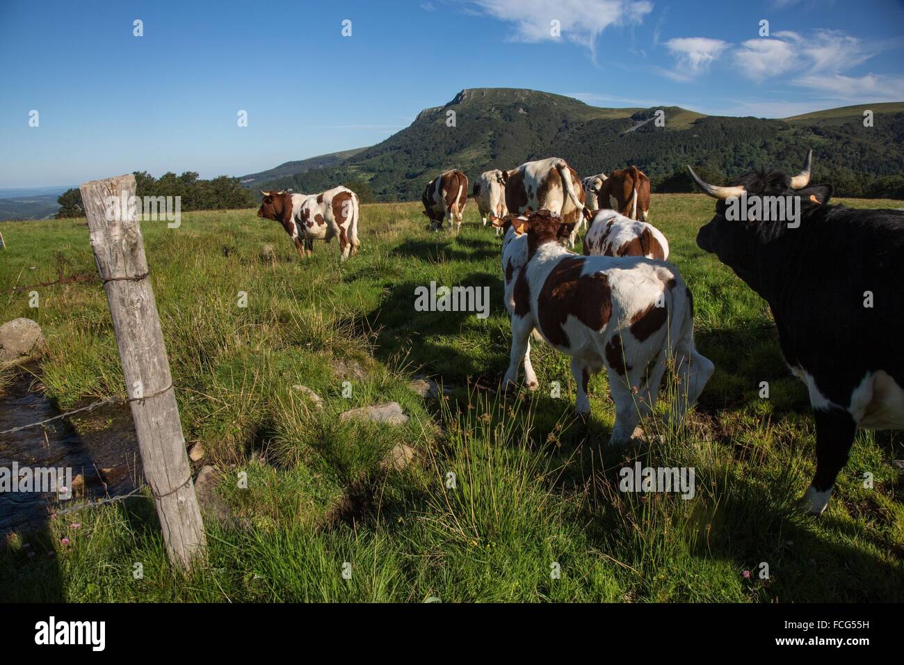 ILLUSTRATION OF PUY-DE-DOME, (63) AUVERGNE, FRANCE Stock Photo - Alamy