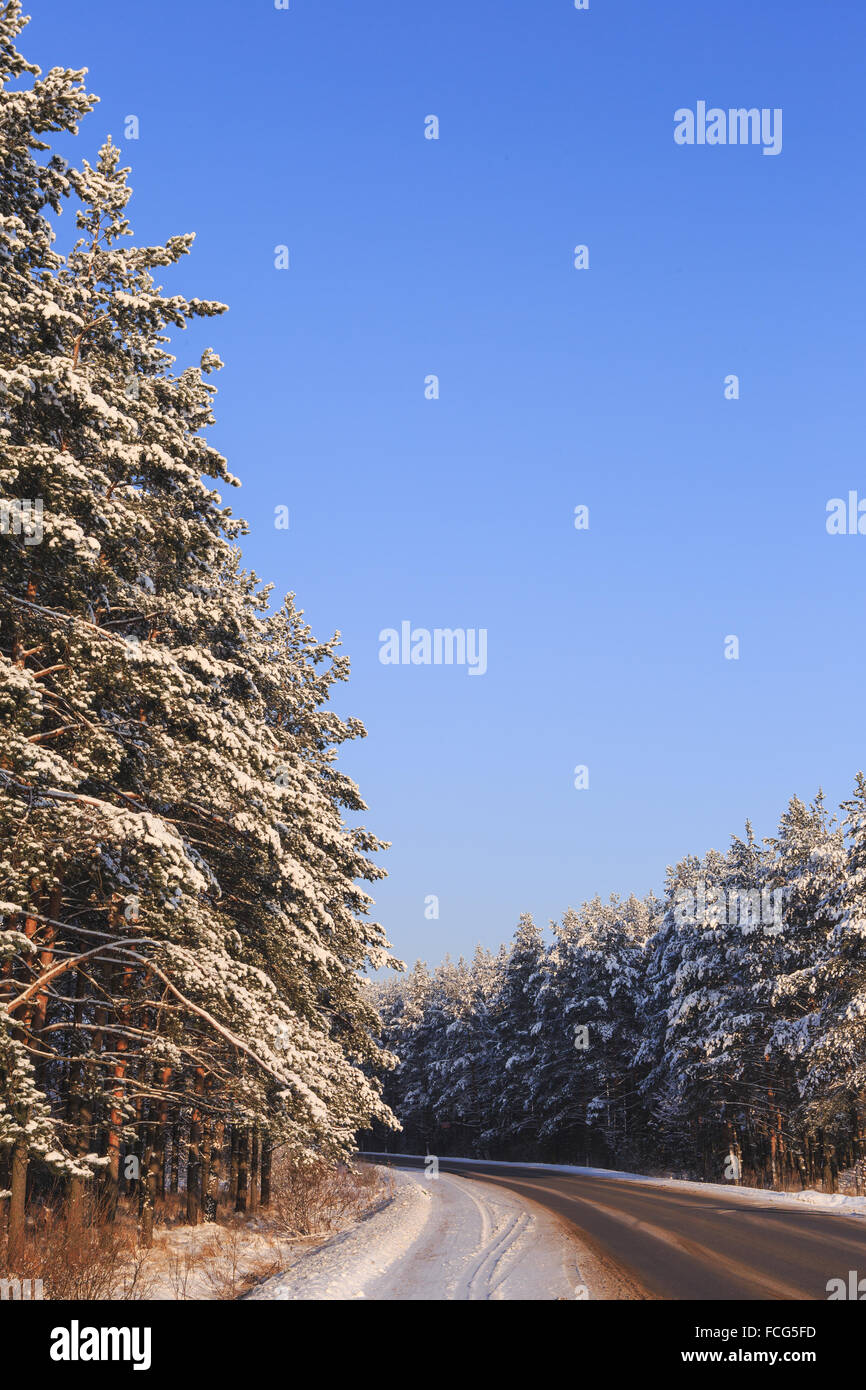 Winter road through snowy forests Stock Photo - Alamy