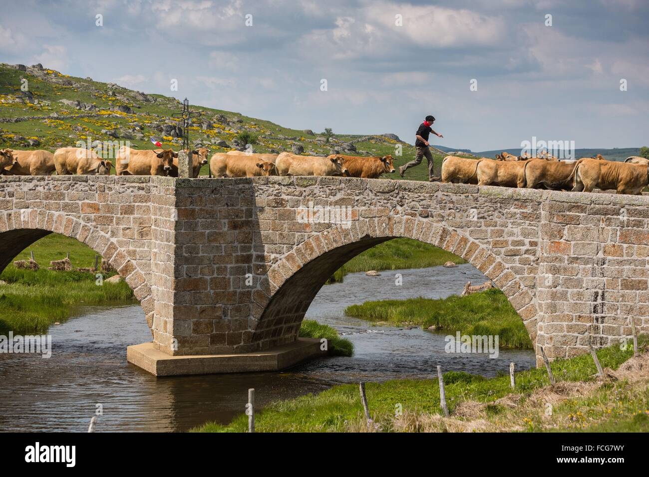 Summer transhumance hi-res stock photography and images - Alamy