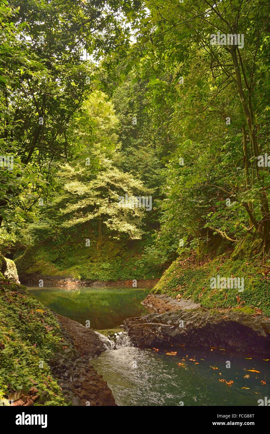 Equatorial region hi-res stock photography and images - Alamy