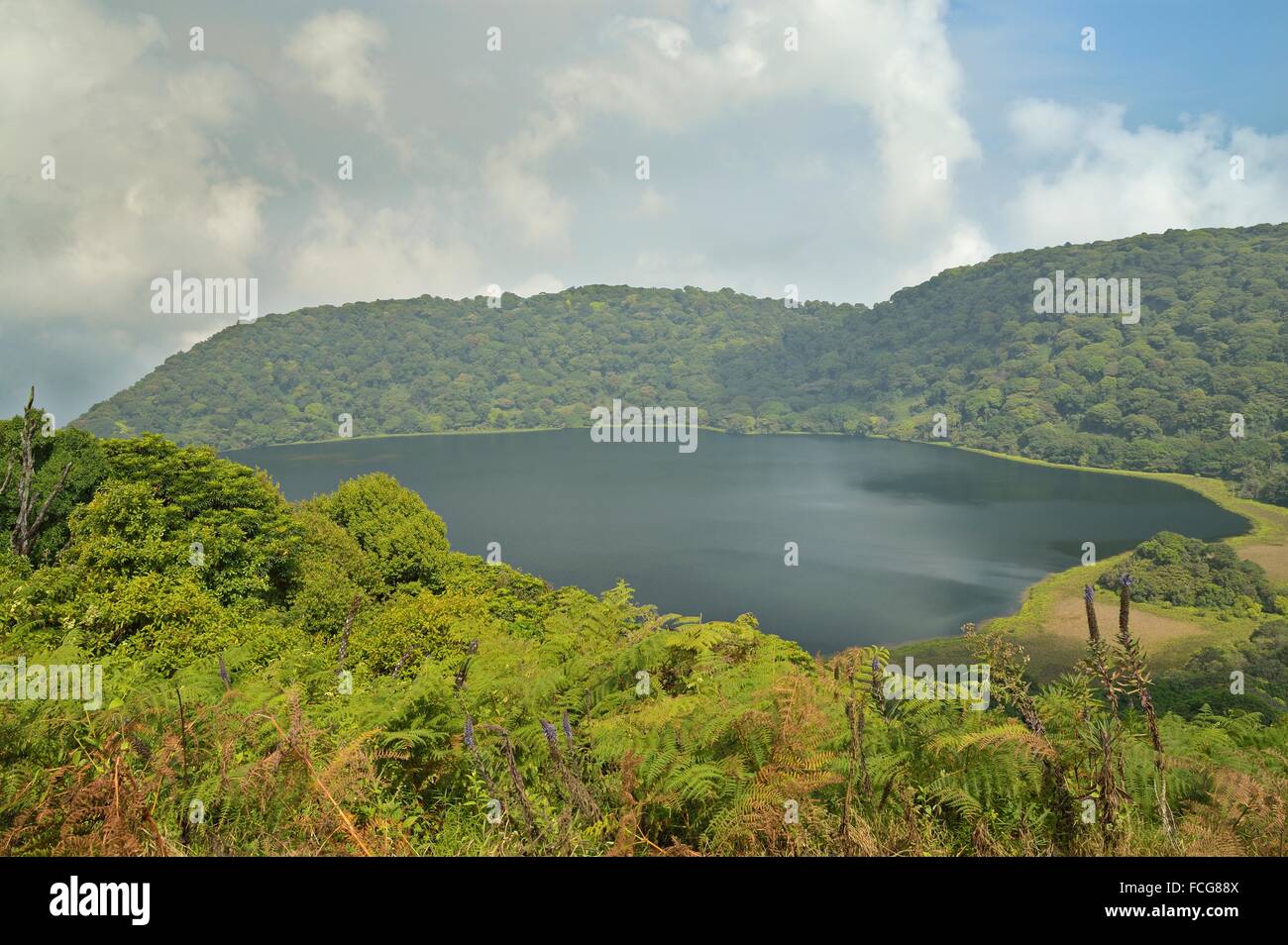 Island of bioko hi-res stock photography and images - Alamy