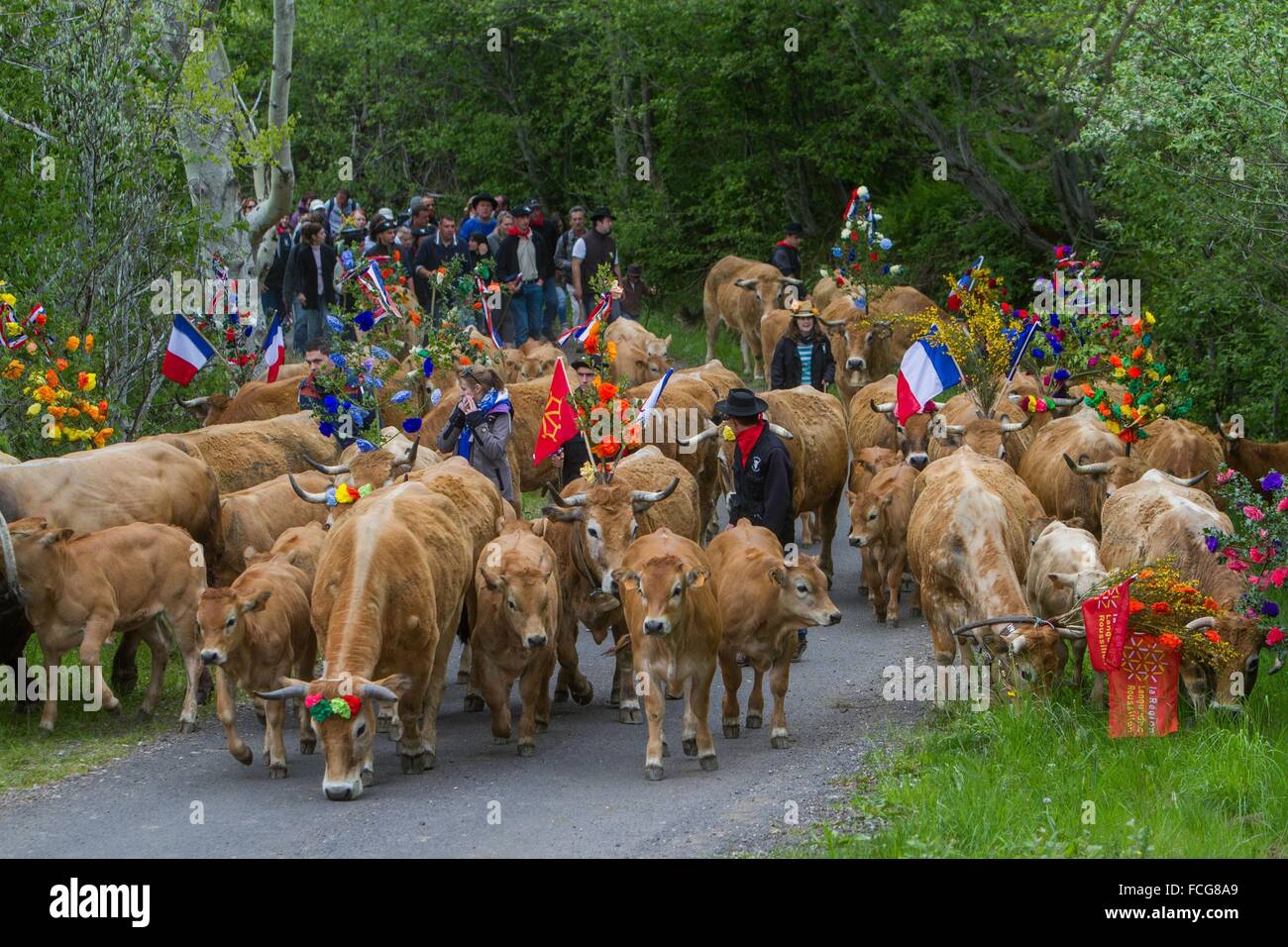 TRANSHUMANCE FESTIVAL, LOZERE (48), FRANCE Stock Photo - Alamy