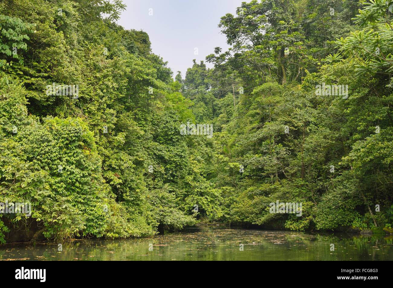 Equatorial region hi-res stock photography and images - Alamy