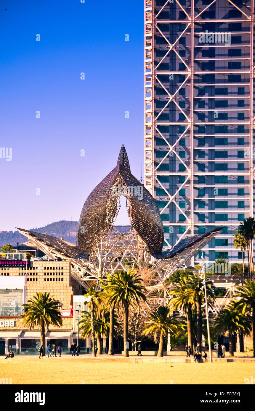 Structure Of A Fish Scale High Resolution Stock Photography and Images ...