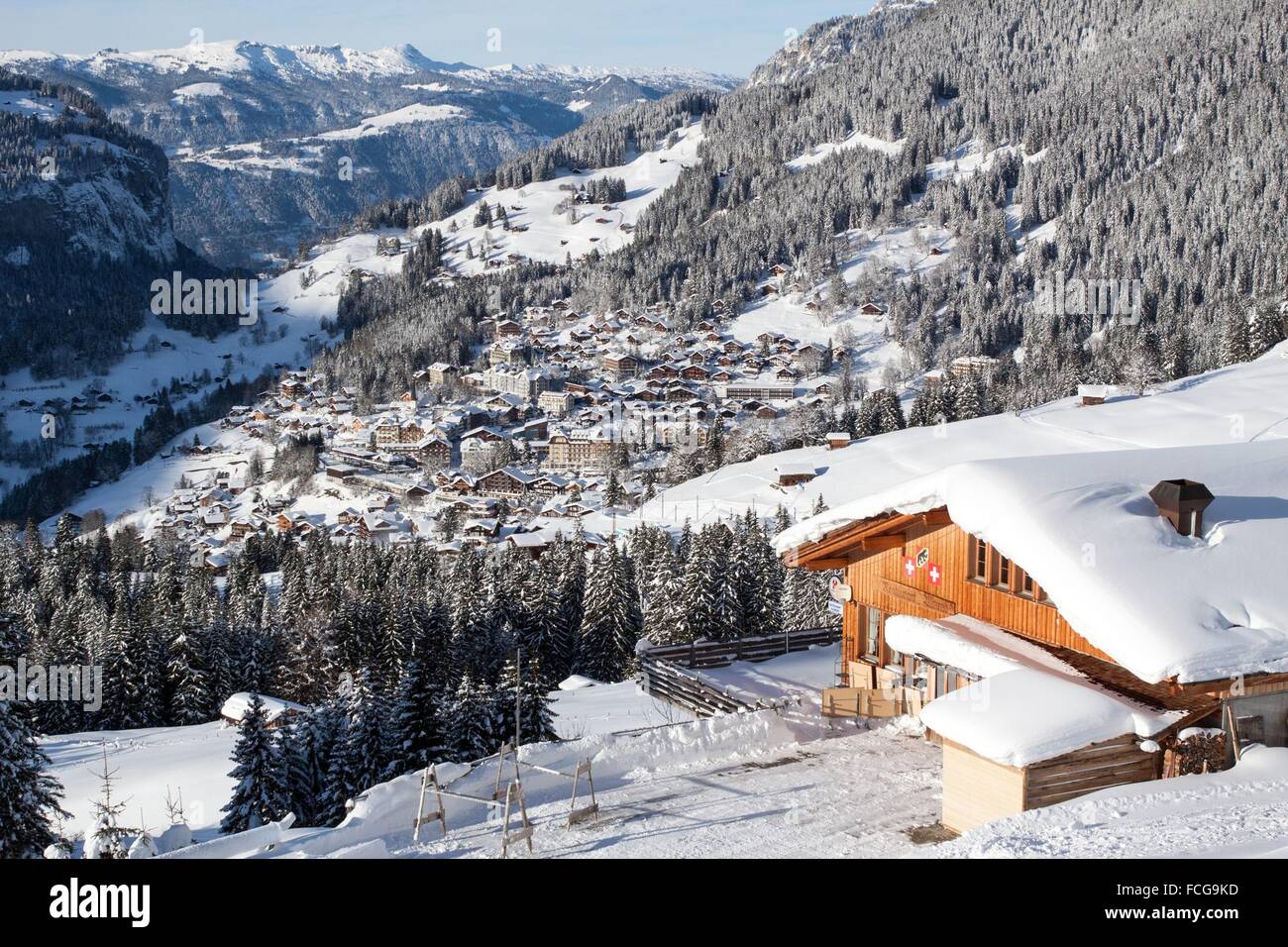 Bernese in switzerland hi-res stock photography and images - Alamy