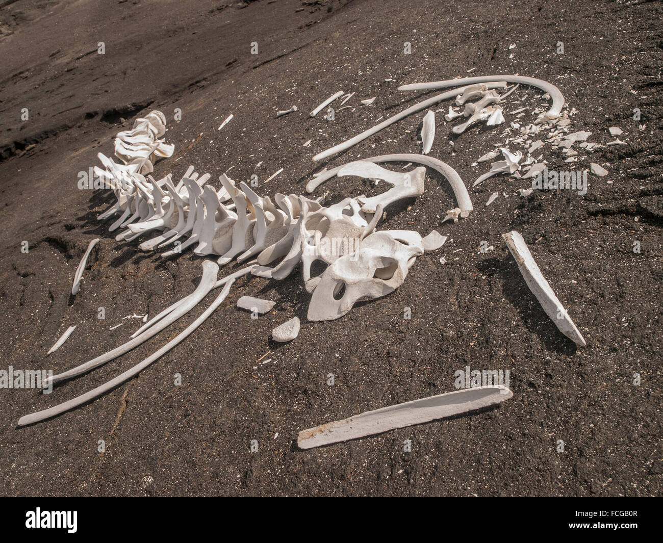 Volcanic Spine High Resolution Stock Photography and Images - Alamy