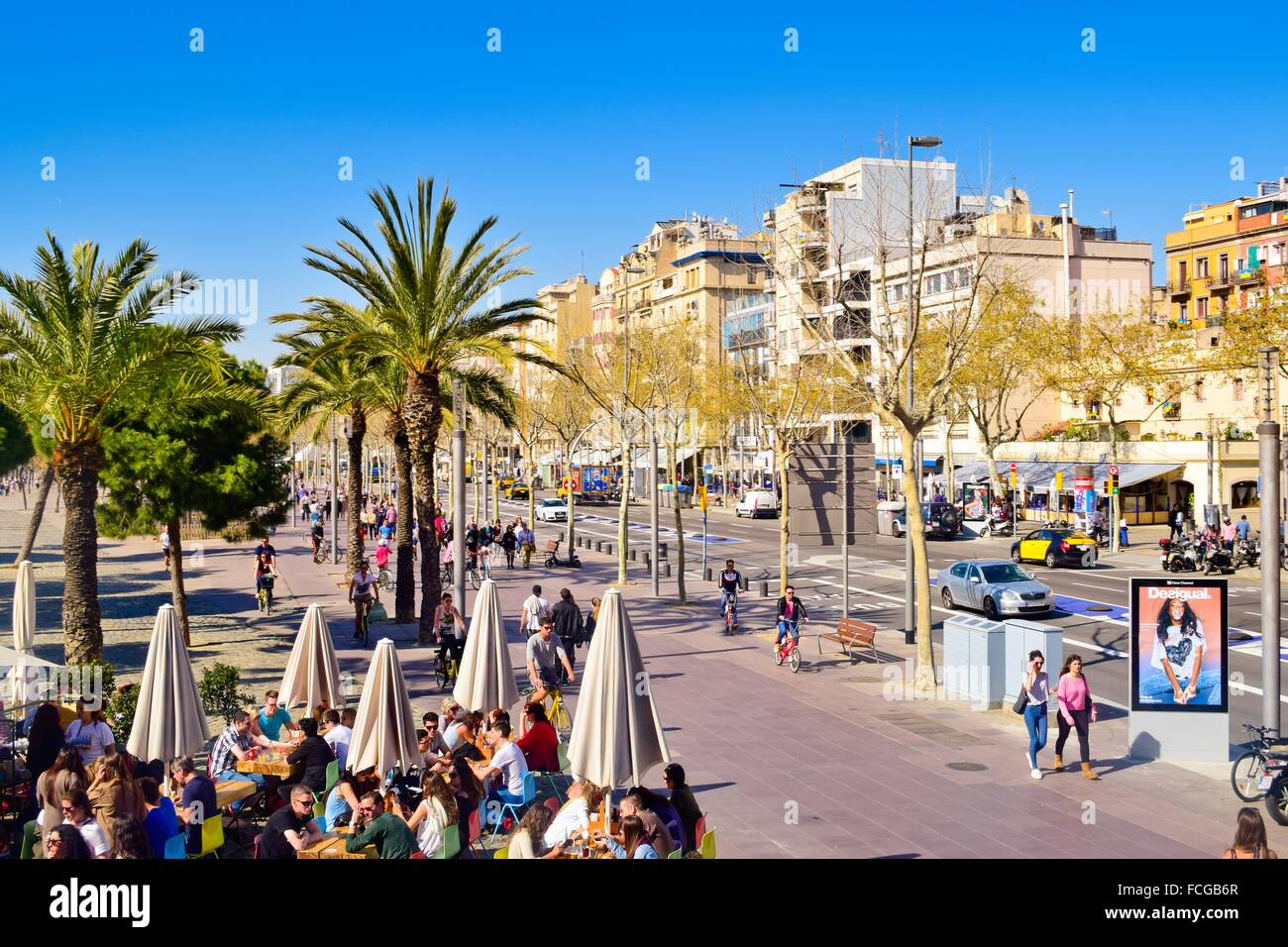passeig-joan-de-borbo-high-resolution-stock-photography-and-images-alamy