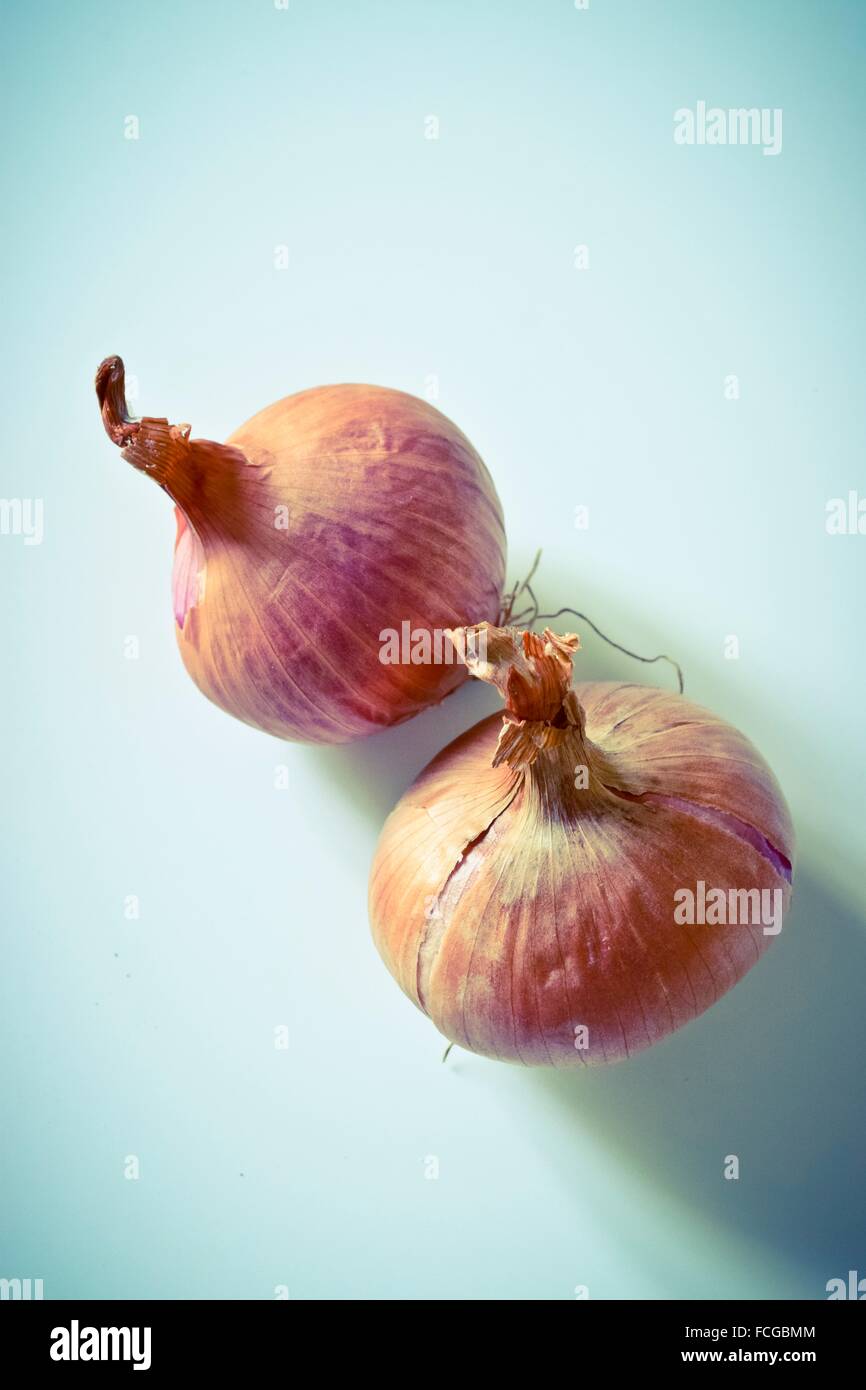 Two onions on neutral background Stock Photo - Alamy