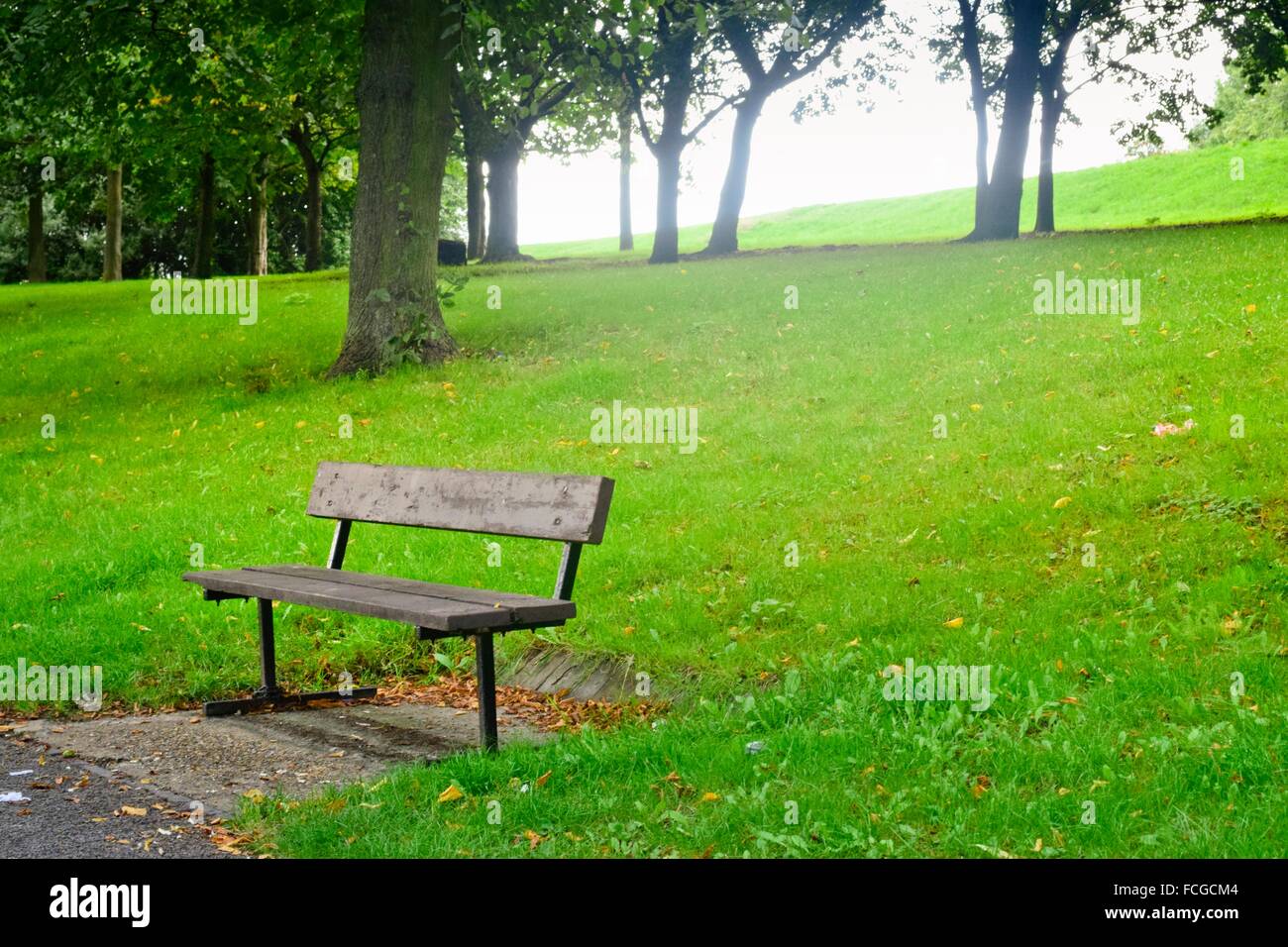 Wooden bench in a park. Croydon, London, England, United Kingdom Stock ...