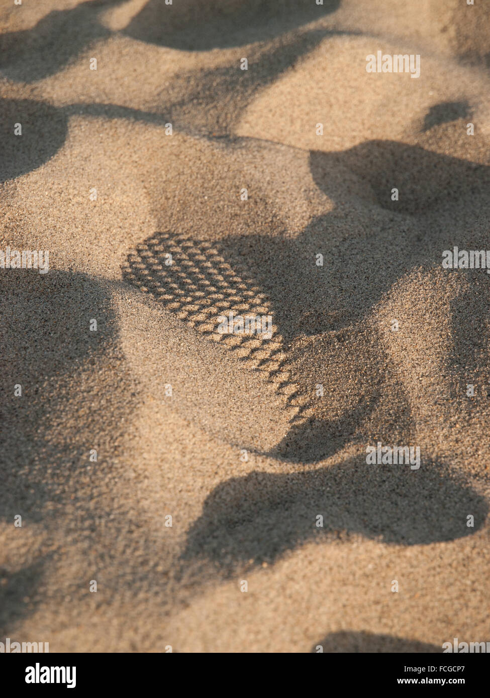 One footprint hi-res stock photography and images - Alamy