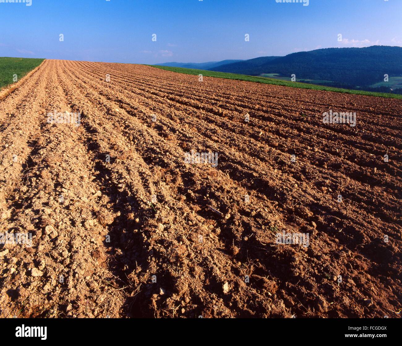Low Beskid High Resolution Stock Photography and Images - Alamy