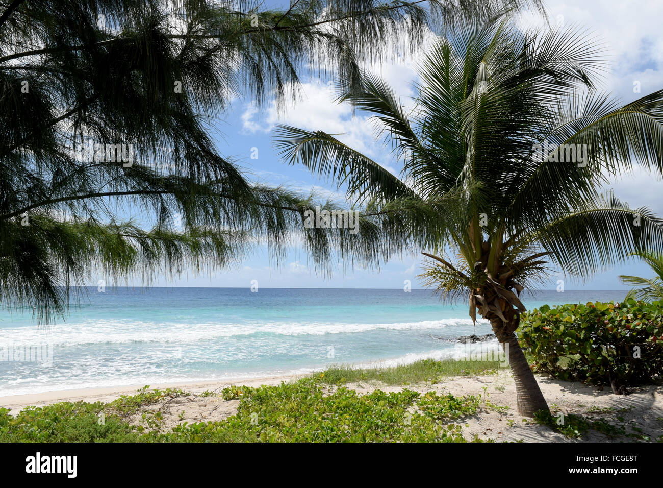 A sandy beach in Bridgetown Barbados in the Caribbean Stock Photo - Alamy