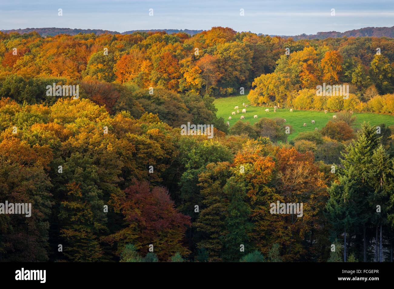 AUTUMN COLORS IN CALVADOS (14), NORMANDY, FRANCE Stock Photo - Alamy