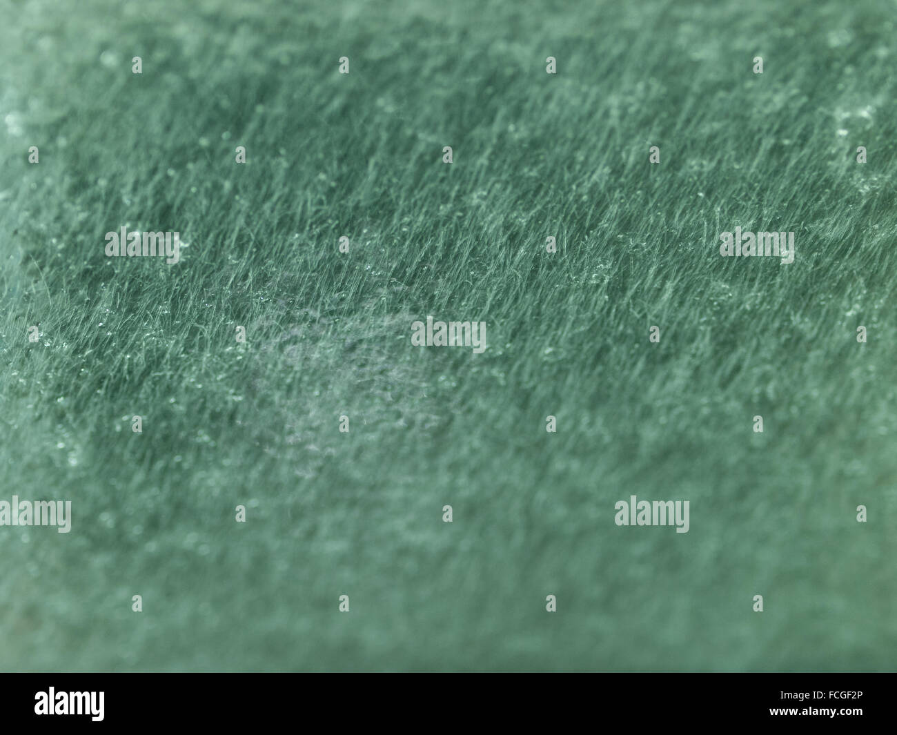 Wet green windshield at the car wash with streaks of water and blurry ...