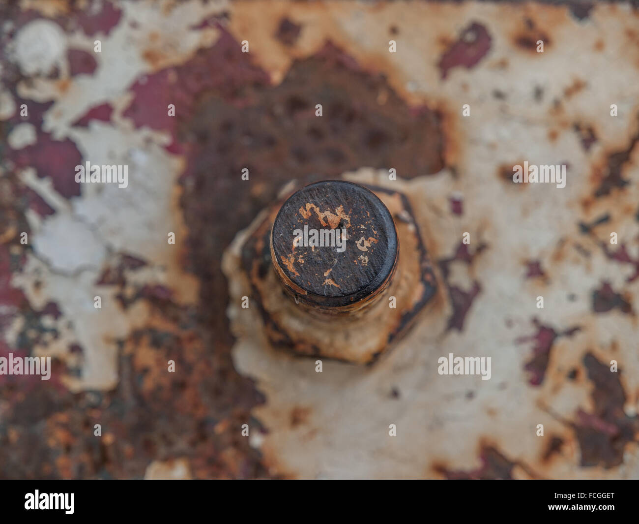 Rusty nut and bolt in metal covered in peeling white and red paint ...