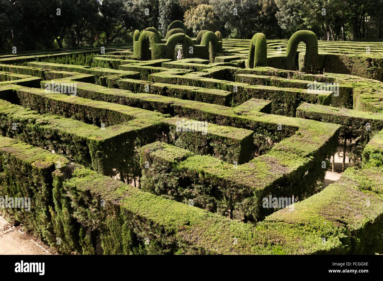 Plant maze hi-res stock photography and images - Alamy