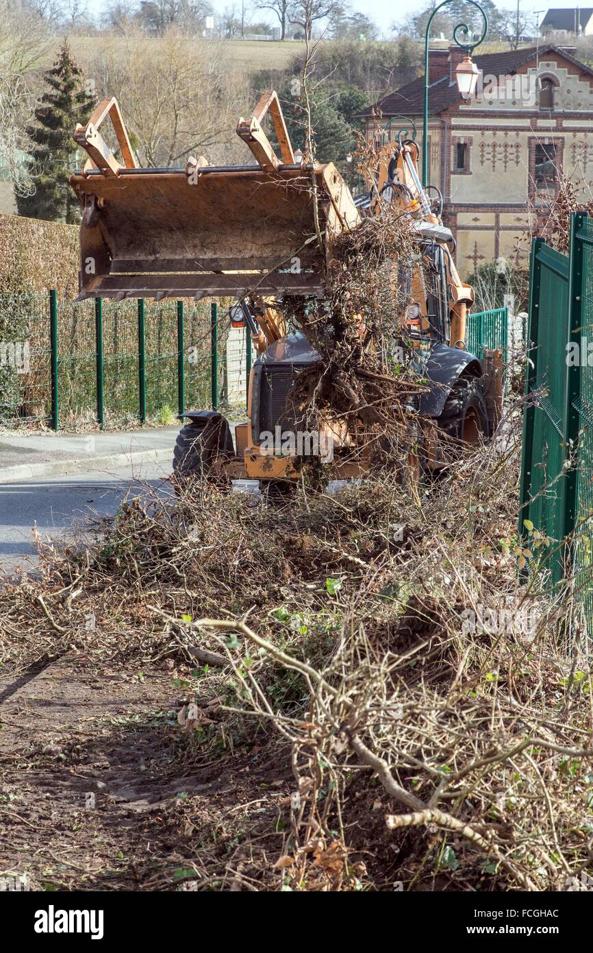 UPROOTING OF A HEDGE Stock Photo - Alamy