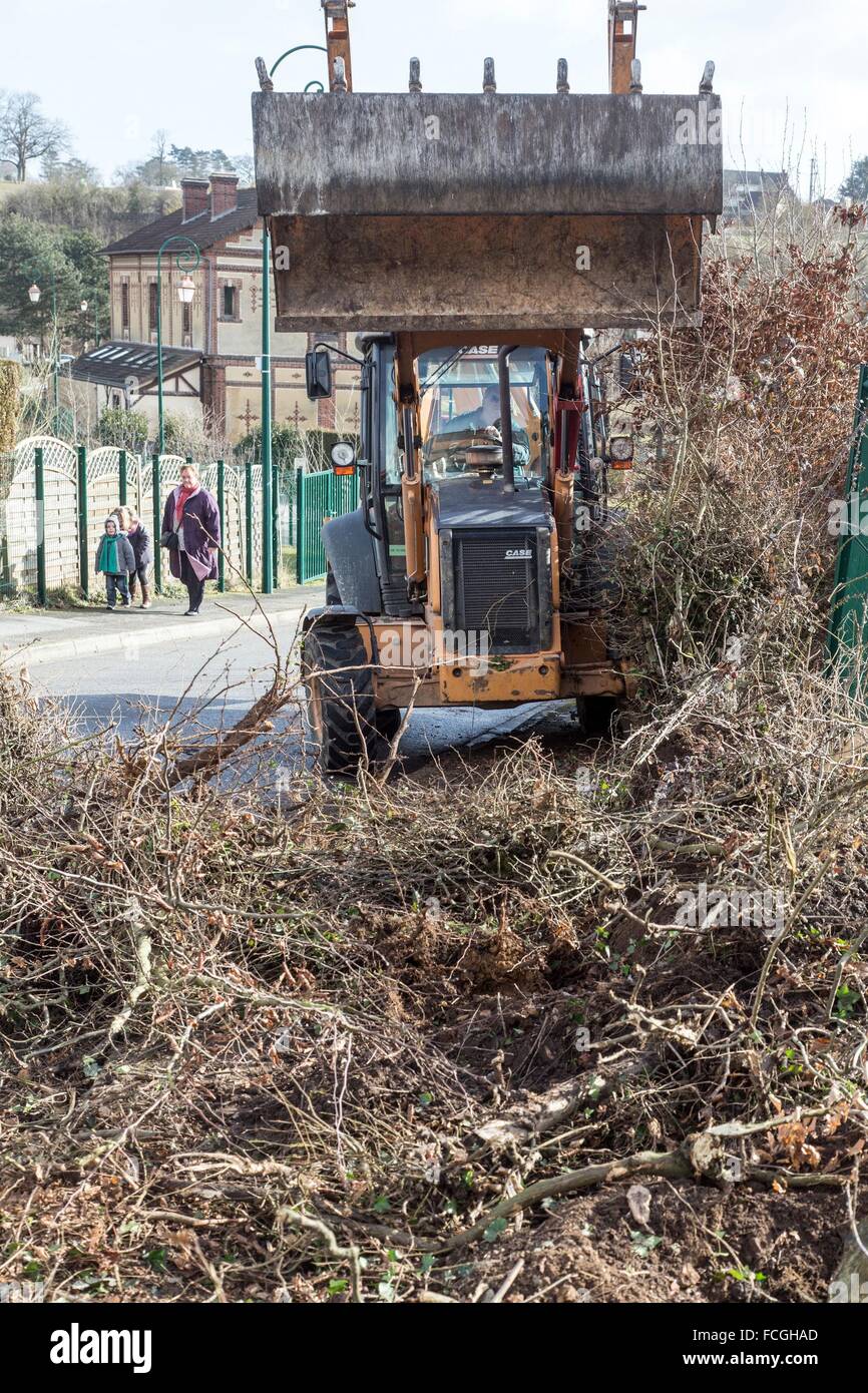 UPROOTING OF A HEDGE Stock Photo - Alamy
