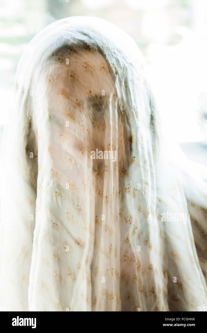 Veil Disguise High Resolution Stock Photography and Images - Alamy