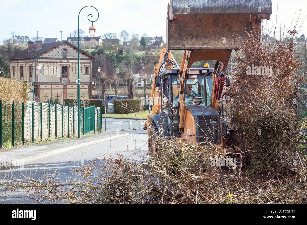 UPROOTING OF A HEDGE Stock Photo - Alamy