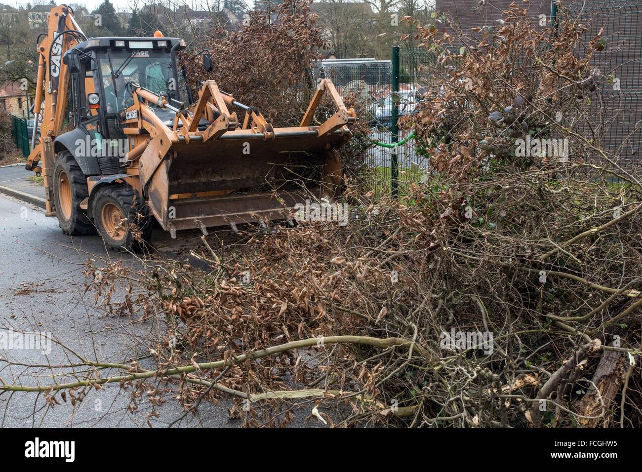 UPROOTING OF A HEDGE Stock Photo - Alamy